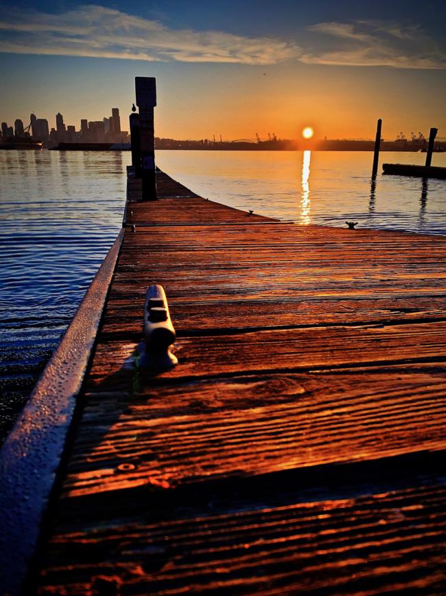 Seattle Parks will close Don Armeni Boat Ramp for eel grass survey on ...
